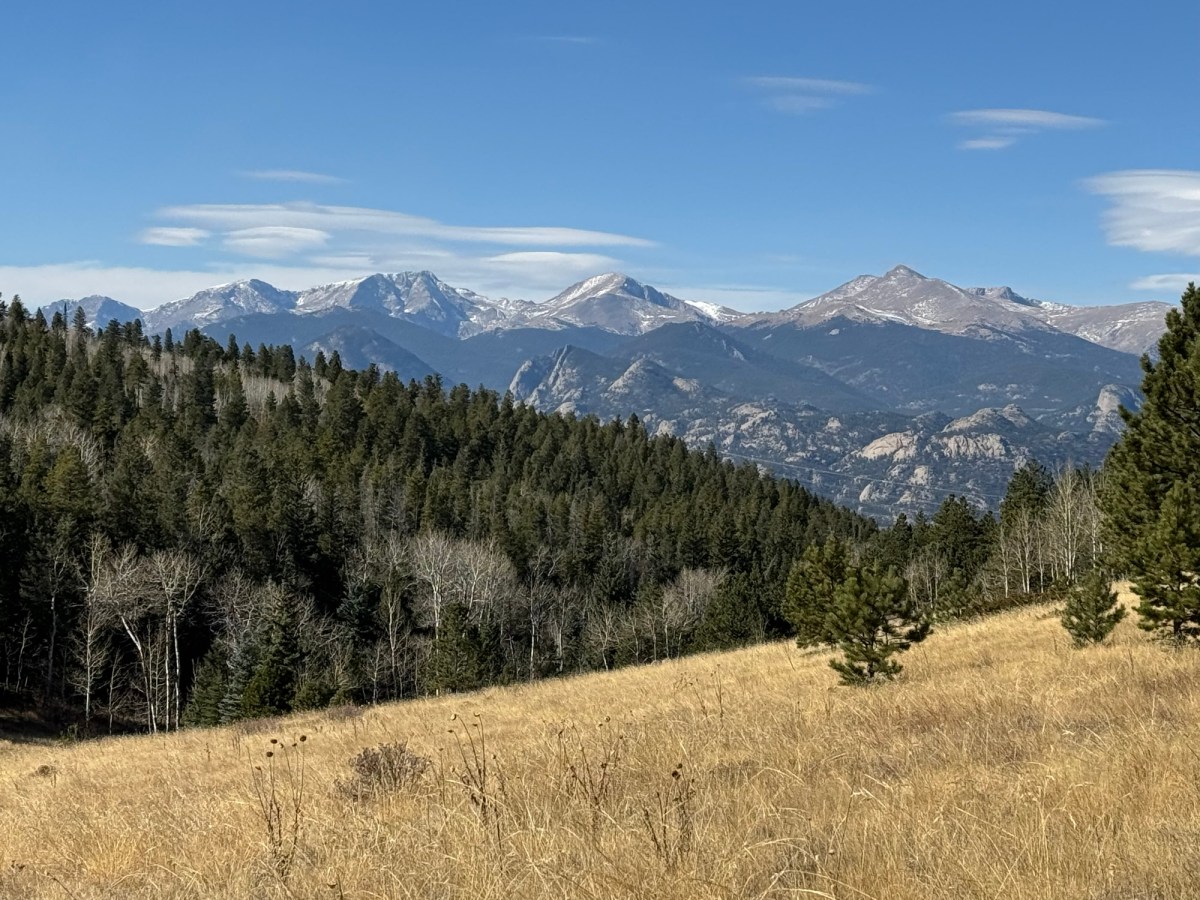 Exploring Pole Hill Road and Panorama Peak: A Four-Wheel Drive ...